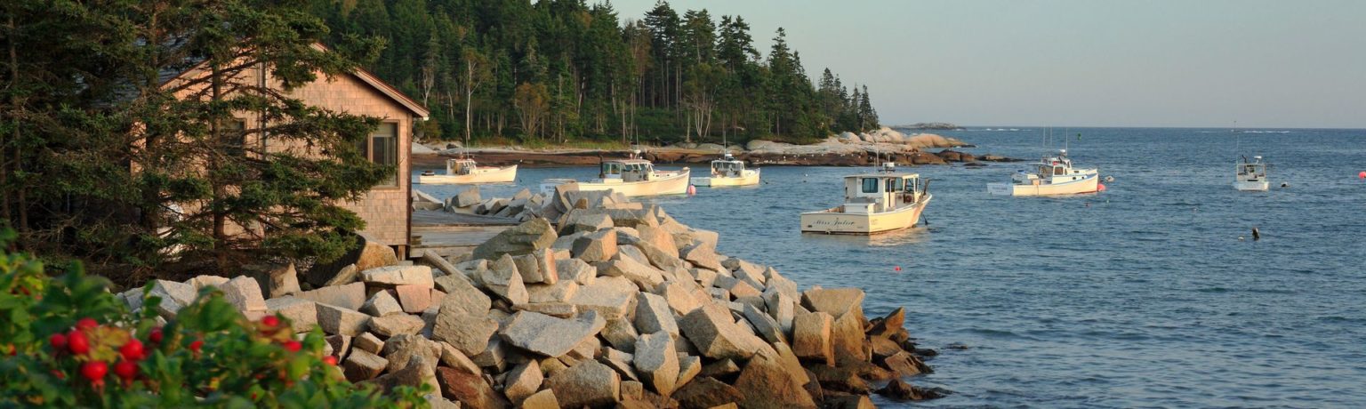 Introducing The Lobster Trap Oyster - Lobster Trap - Asheville,NC